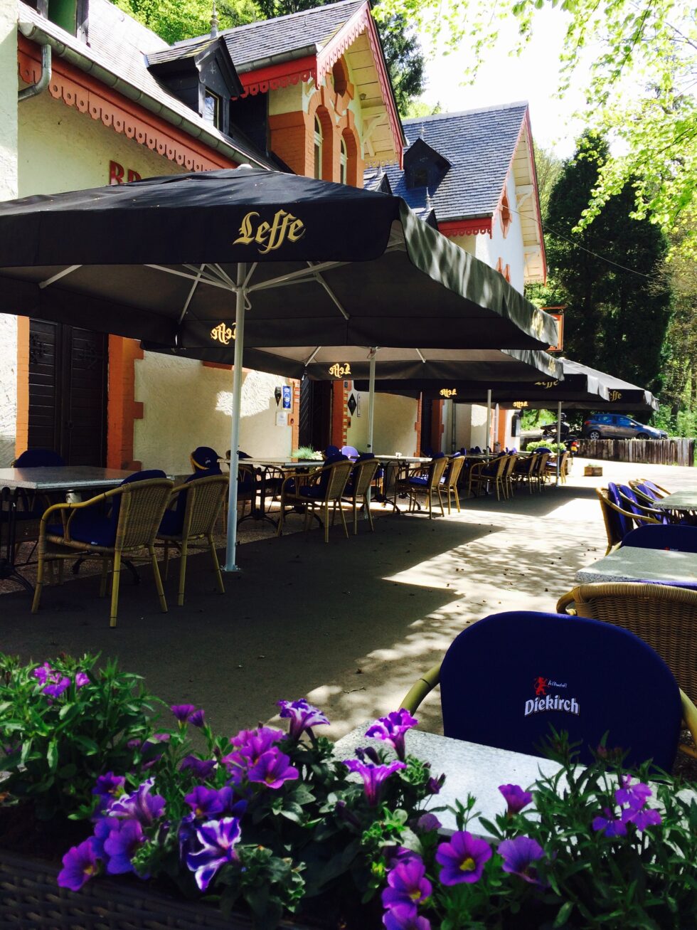 Accueil - Les Ecuries du Parc